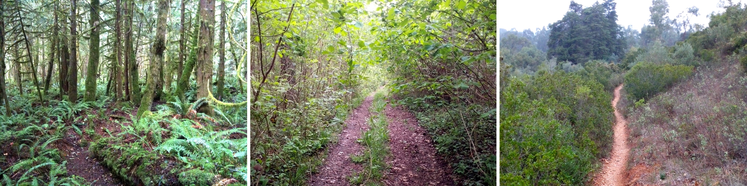 Road Walking - Guide to walking roads cross country with lightweight gear